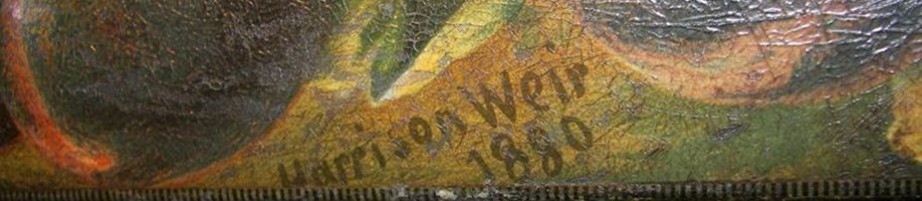 COLLECTION - Harrison Weir Harrison Weir