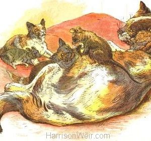 1871 - The Cats Tea Party - Harrison Weir Harrison Weir