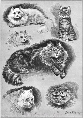 1892 (Oct) The Crystal Palace Cat Show Prize Cats (ISDN) - Harrison ...