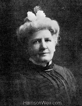 Mrs Clinton Locke - Harrison Weir Harrison Weir