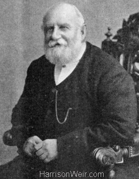 FAMILY ALBUM - Harrison Weir Harrison Weir