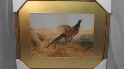 COLLECTION - Harrison Weir Harrison Weir