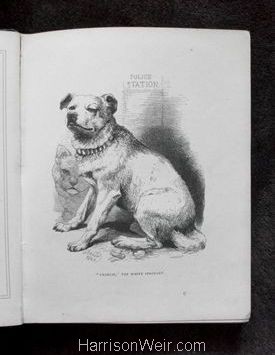 LIBRARY - Harrison Weir Harrison Weir