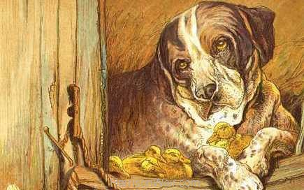 Welcome to HarrisonWeir.com! - Harrison Weir Harrison Weir