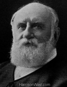 FAMILY ALBUM - Harrison Weir Harrison Weir